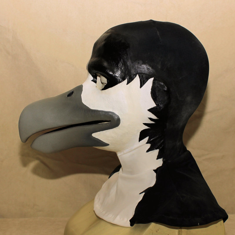 Bird Masks - Long Beaks
