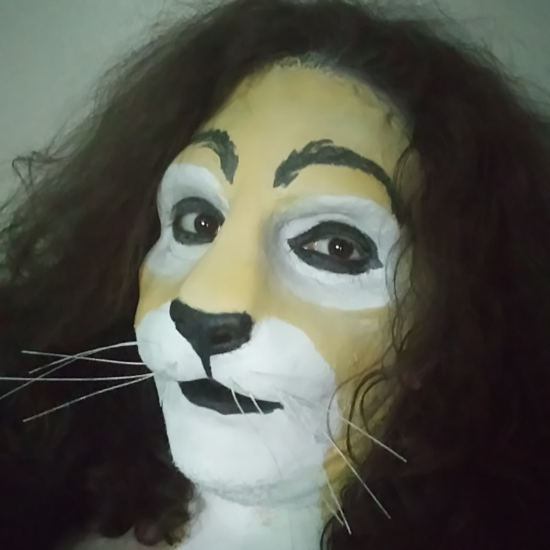 Cat Face - latex prosthetic for special effects makeup